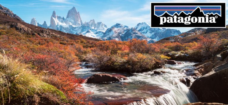 How Patagonia Aligns Strategy Execution with Environmental and Social ...